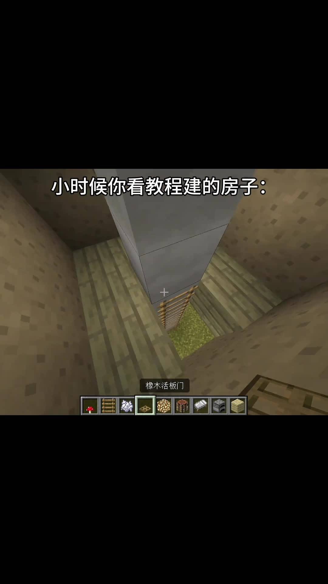 以前玩我的世界,看教程建的房子