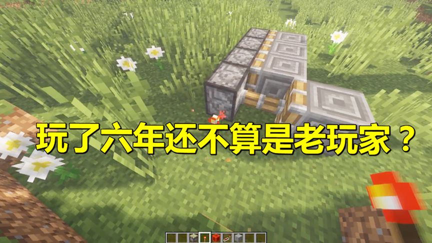 我的世界:玩了六年还不算老玩家?MC老玩家的定义是什么