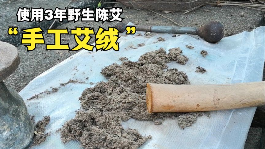 家里艾草放3年价值高!手工艾绒制作3个方法一学就会,在家都能做