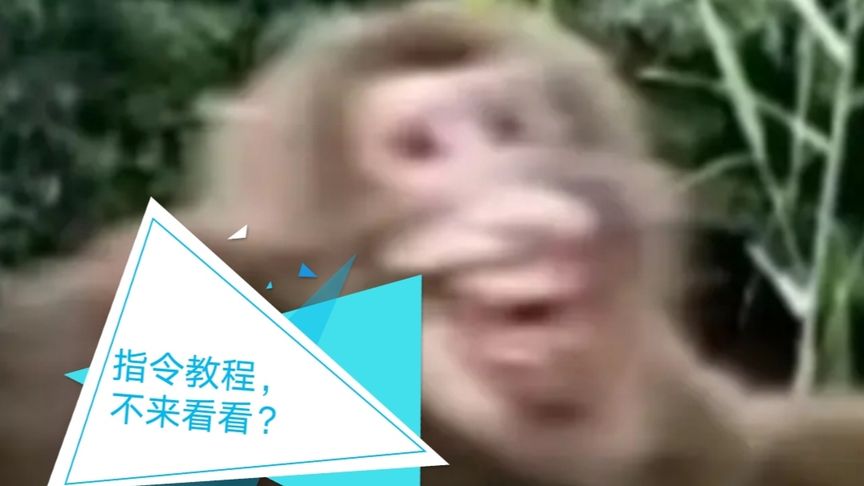 #我的世界 指令教程:拖尾特效