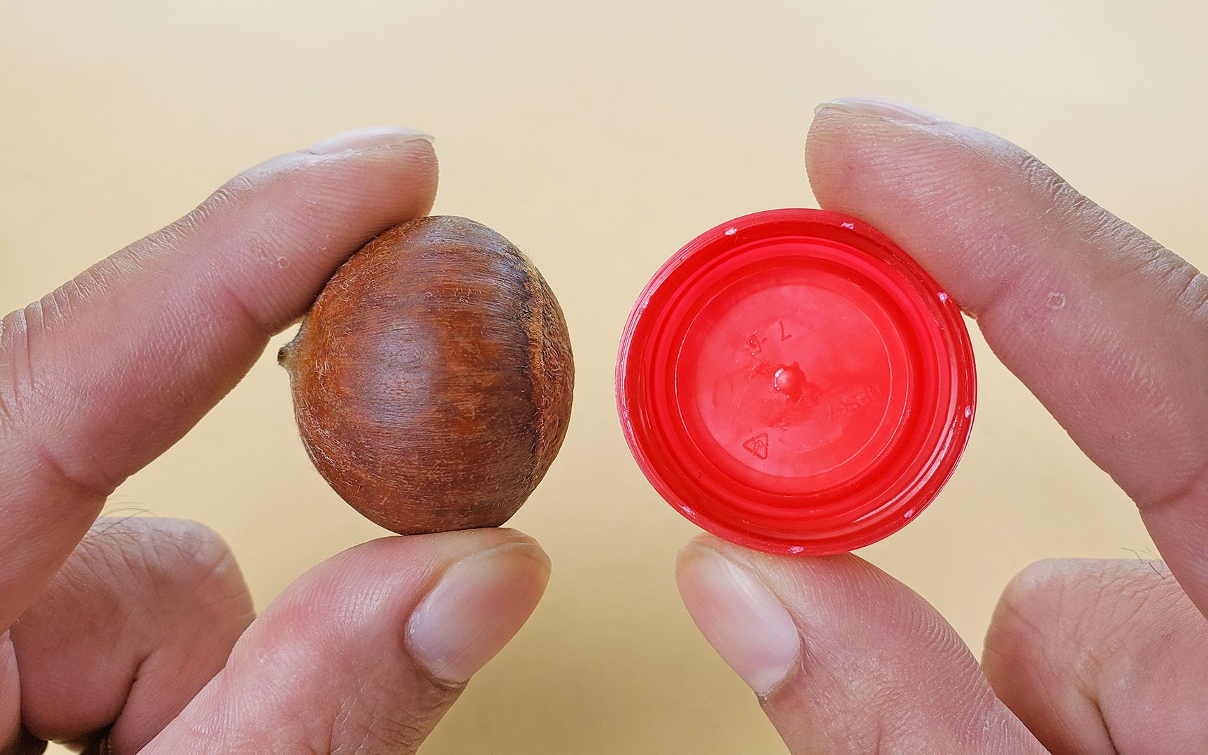 板栗开口不要用刀切了,拿一个瓶盖,简单快速不伤手,方法太棒了