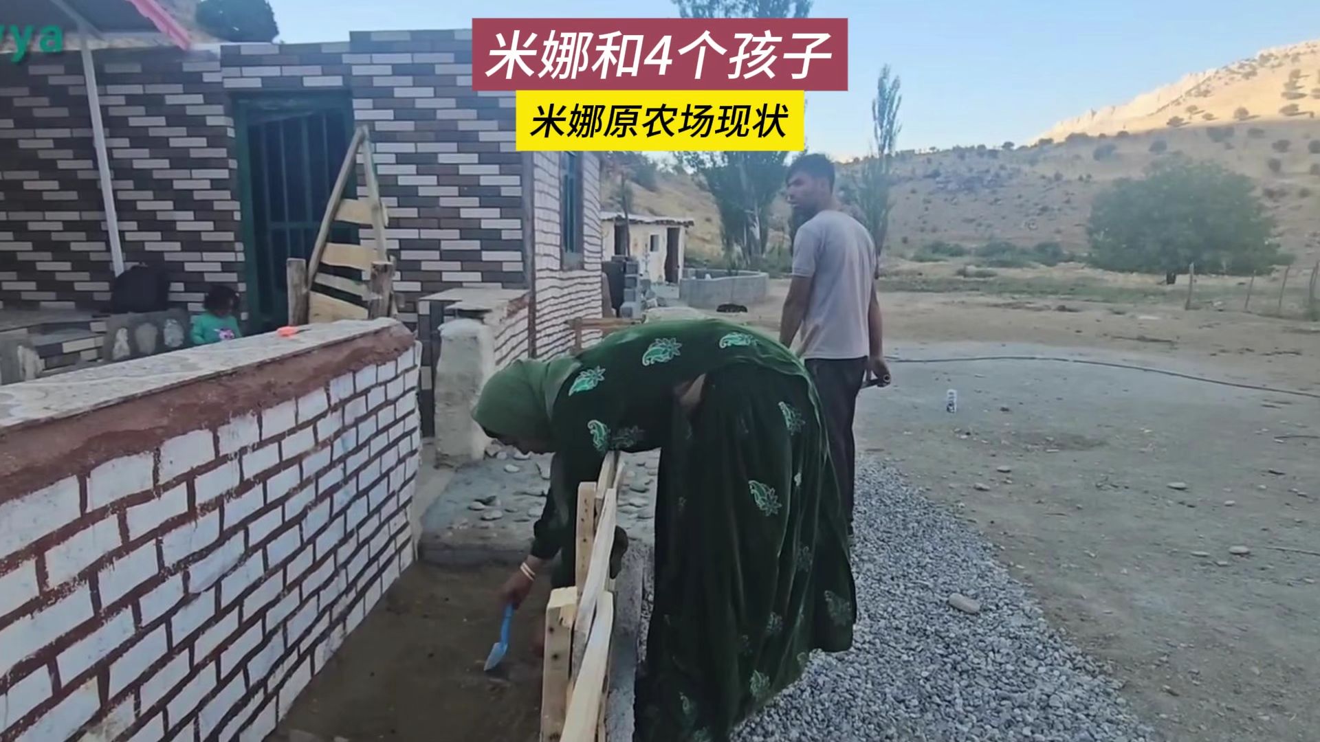 米娜原农场现状,稻谷即将成熟,绿豆苗也已经结果