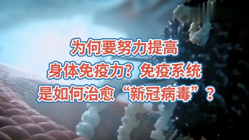 为何要努力提高身体免疫力免疫系统是如何治愈"新冠病毒"呢