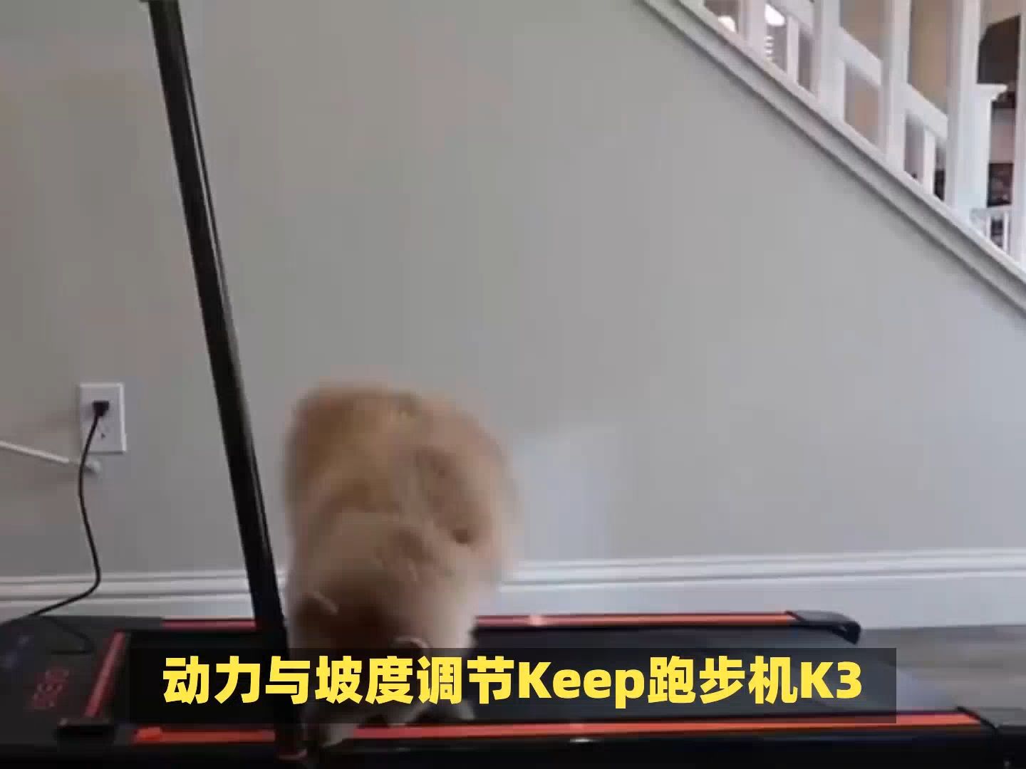 Keep跑步机K3真实使用经历,可以看看大家的吐槽