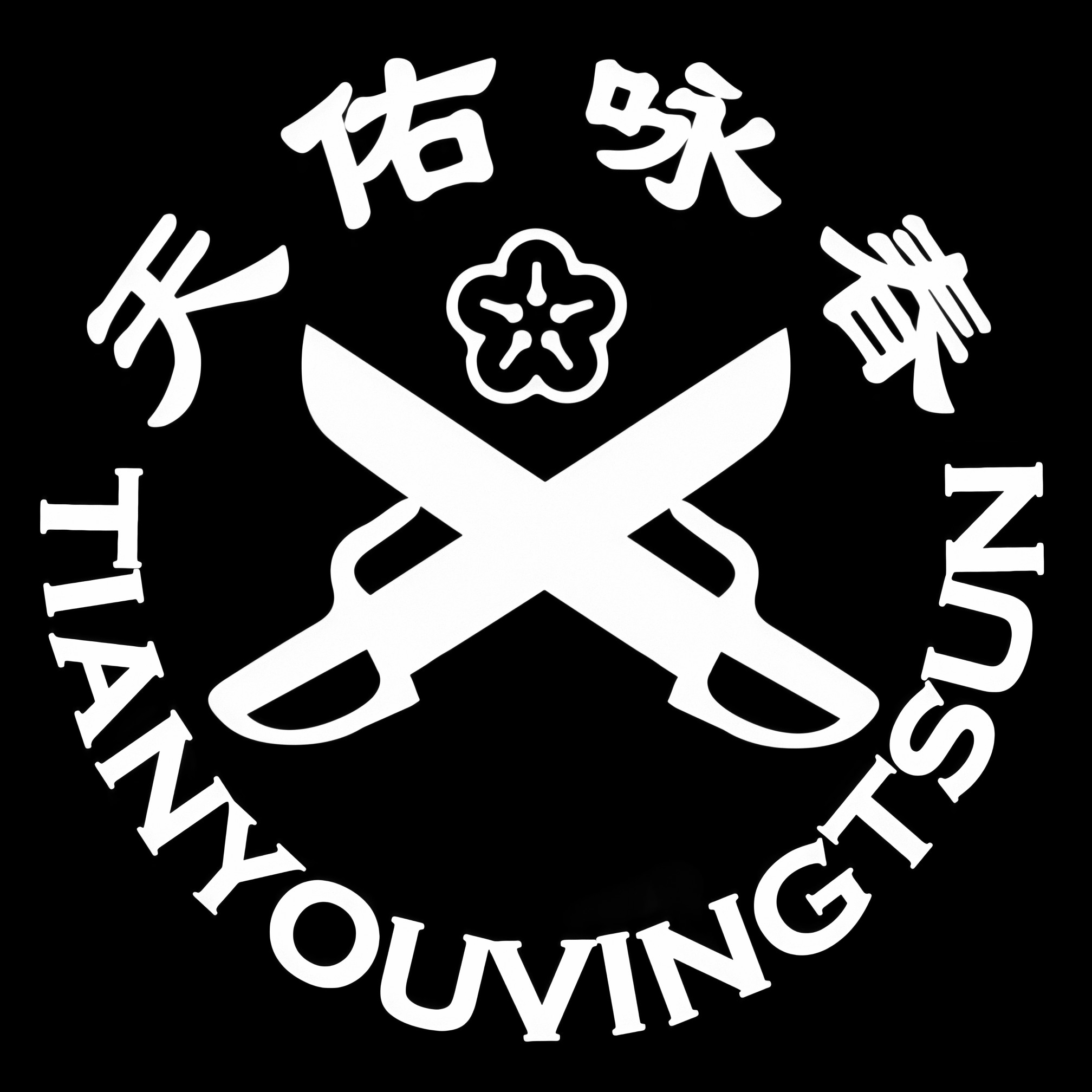 天佑咏春 