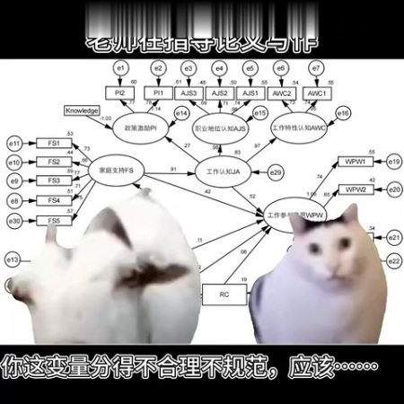 行政管理专业学生的日常belike