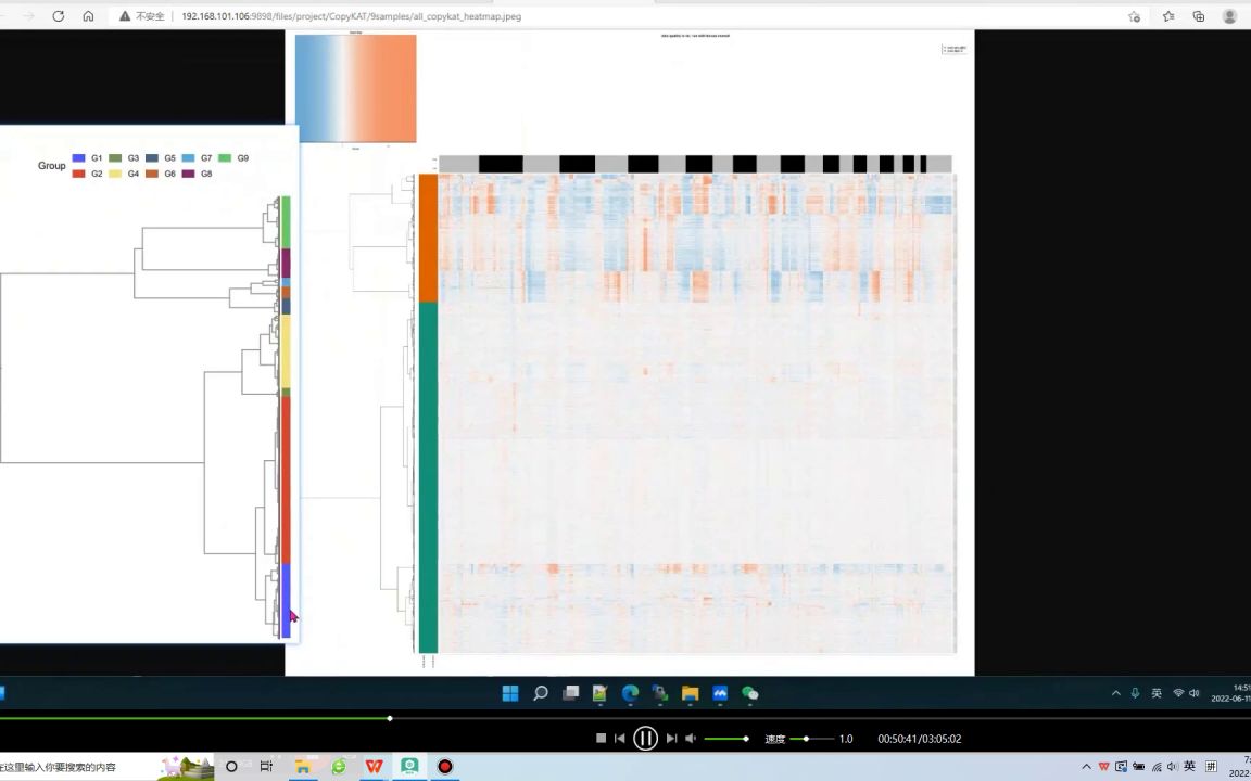 第一篇SCI应该这样发,R语言与网状meta分析加入医学会员科研相伴...