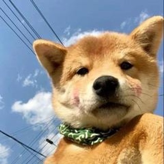Hzzzm.