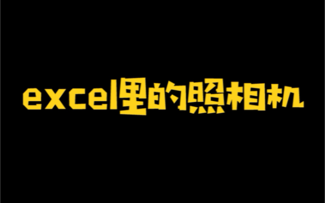 Excel里有照相机?