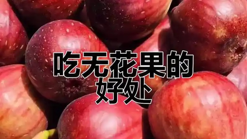 无花果的营养与药用价值