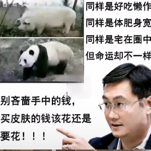 赚钱给我家的买皮肤 