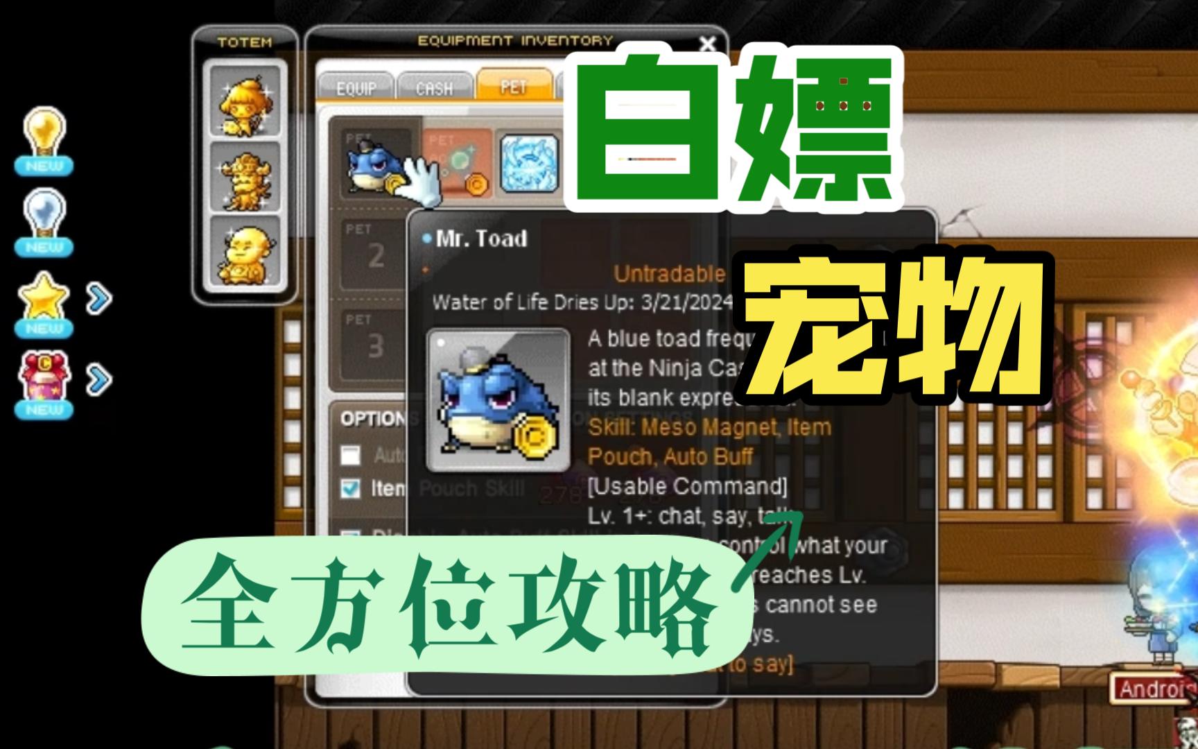 【GMSR】冒险岛忍者城堡攻略——白嫖宠物(可自动BUFF)_网络游戏...