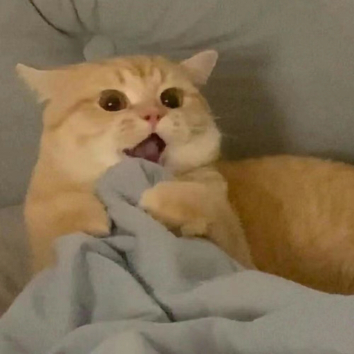 蛮石 
