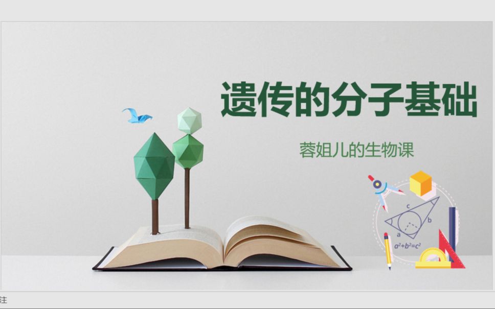 人教版必修二遗传的分子基础——3.2噬菌体侵染细菌的实验