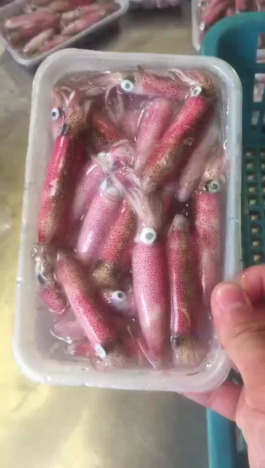 活冻一口管…质量超赞活冻一口管…质量超赞