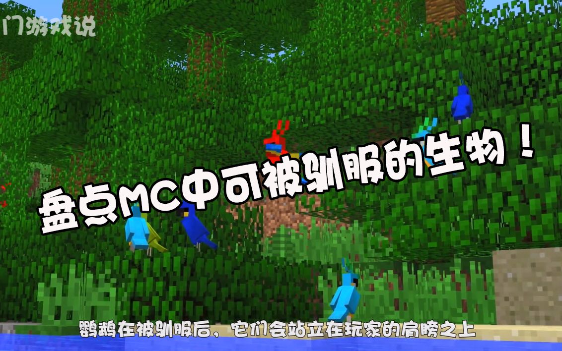 我的世界:盘点MC中可被驯服的生物,“草泥马”是你喜欢的吗?