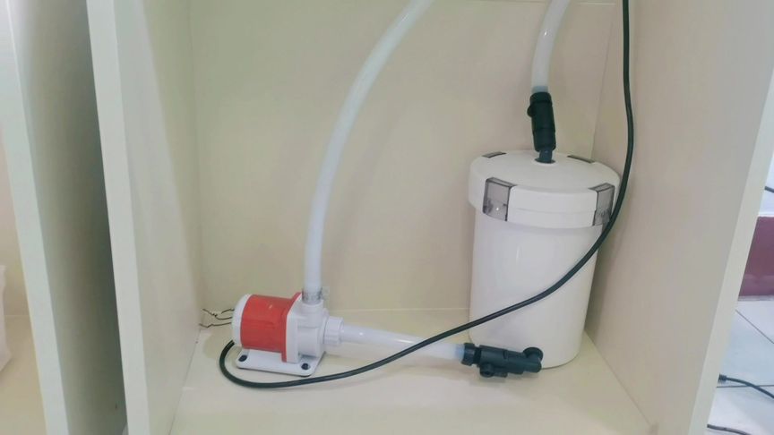 自己制作过滤系统更强大,你们说呢?#过滤系统 #底砂过滤