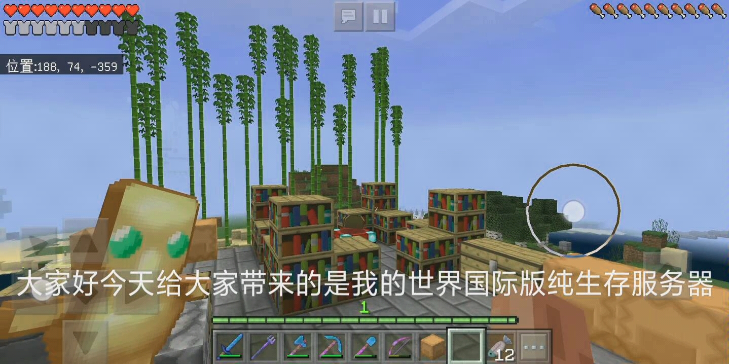 我的世界国际版纯生存服务器要玩的一起哈