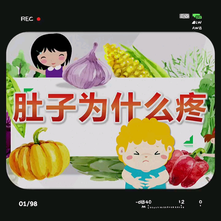 幼儿园公开课|中班安全课件《肚子为什么疼》2023 视频+教案+PPT...