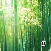 一根蔗 