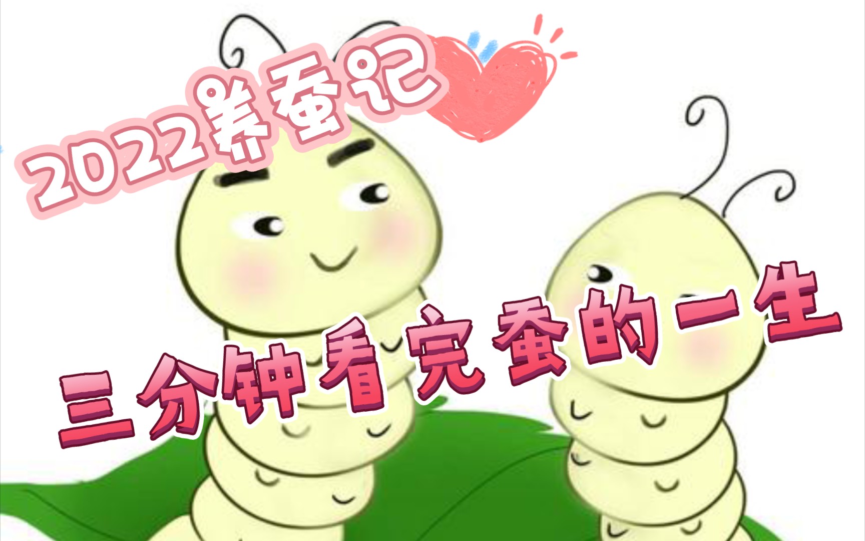 ...疫情期间买菜都困难,采桑叶更是艰巨的考验【三分钟看完蚕宝宝一生】