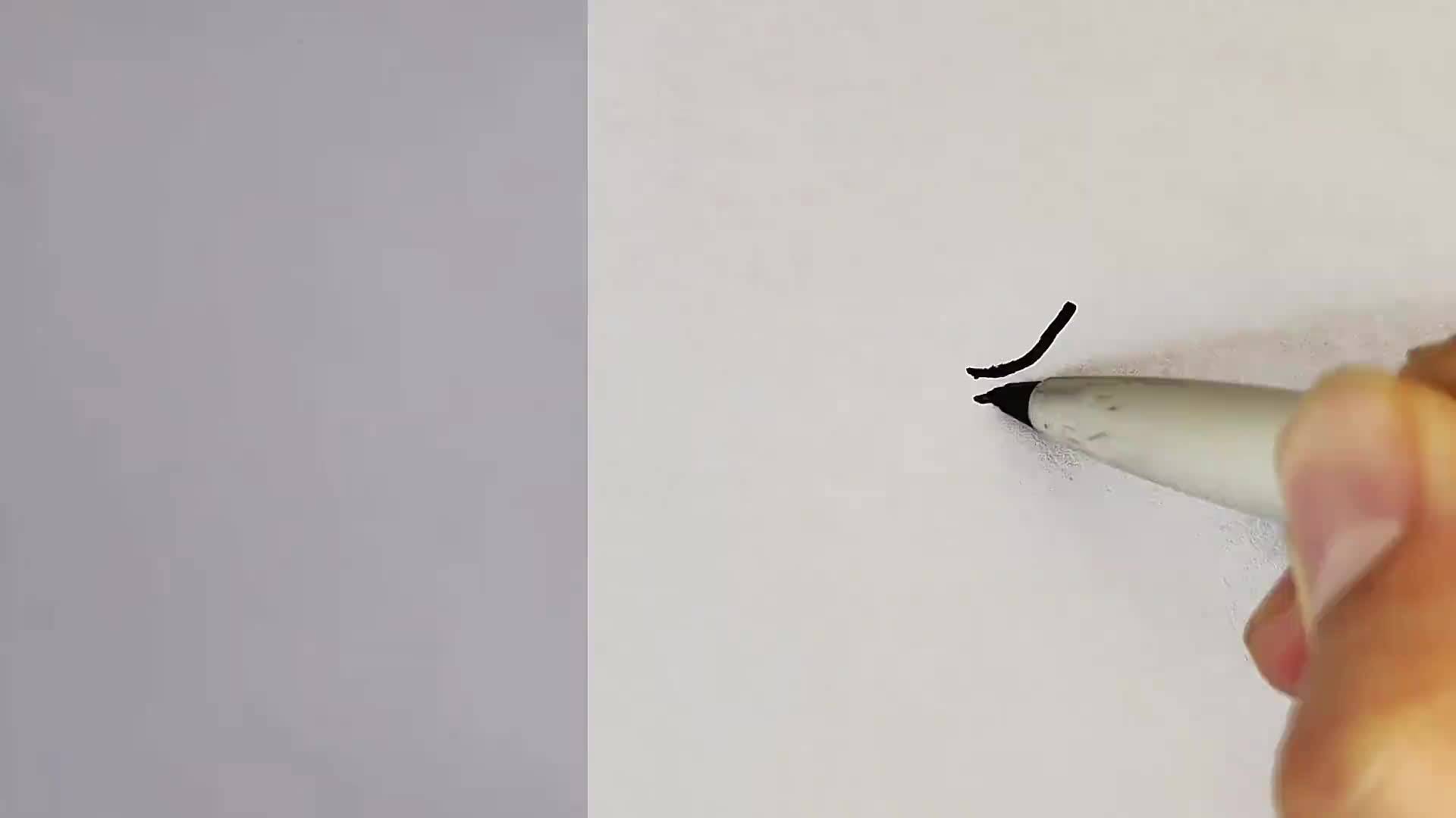 看动画学画画 简笔画