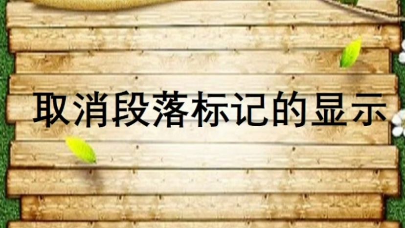 第九节课 取消段落标记的显示