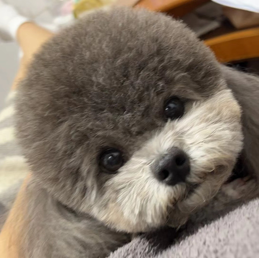 锤形优化 