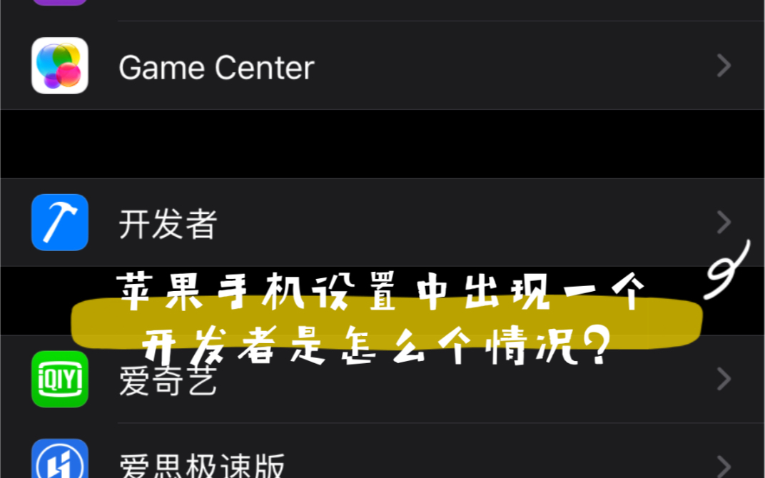 我的苹果12今天设置里面多出了一个开发者选项