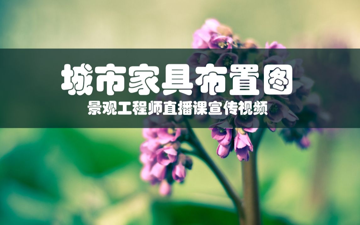 景观工程师直播课宣传视频——城市家具布置图