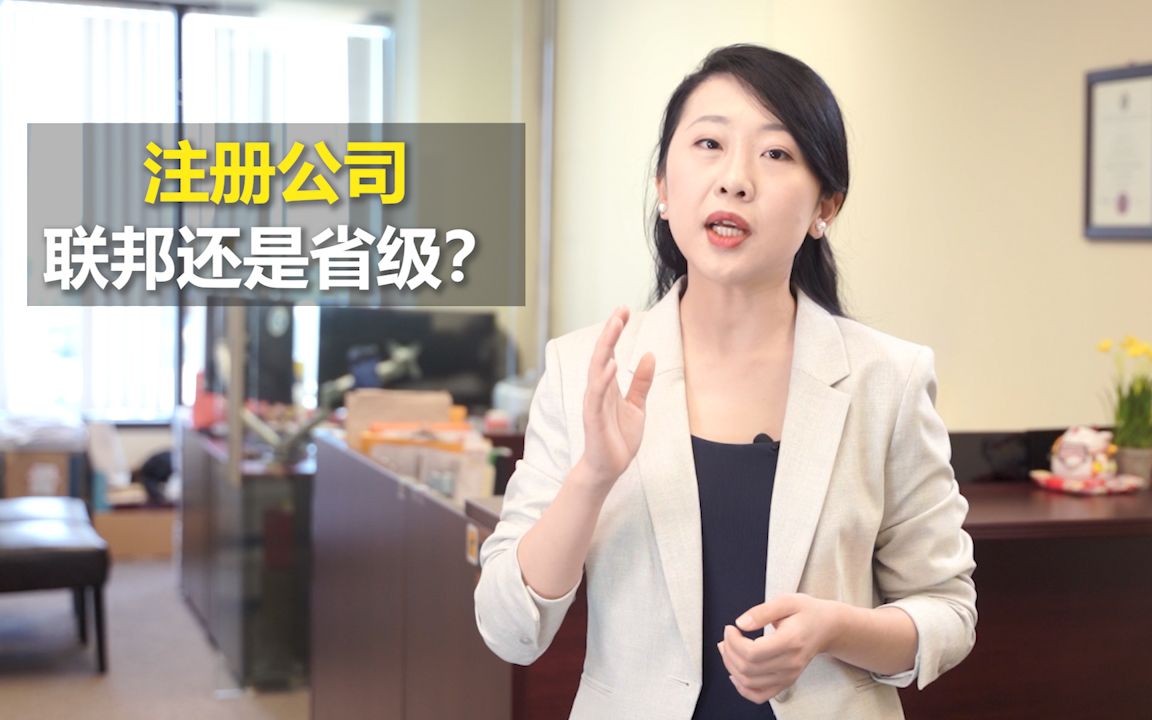 在加拿大注册联邦或省级公司的区别