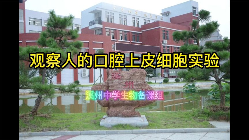 观察人的口腔上皮细胞实验.mp4
