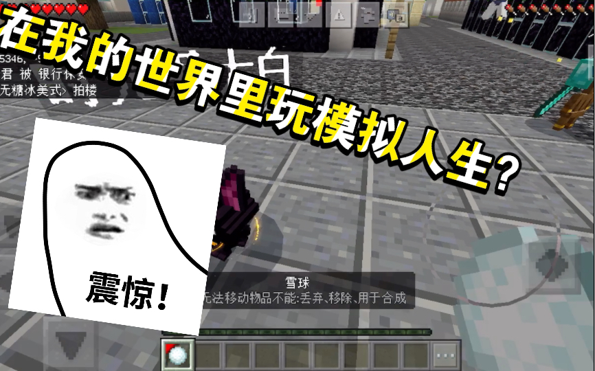 用小号玩我的世界网易模拟人生服务器是什么的感觉?