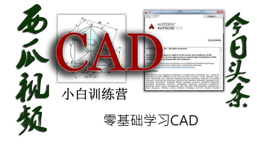 CAD小白训练营 26 零基础学习CAD AutoCAD 角度标注命令