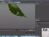 天韵C4D教学课堂第七课:三维软件如何制作出树叶模型以及材质贴图...