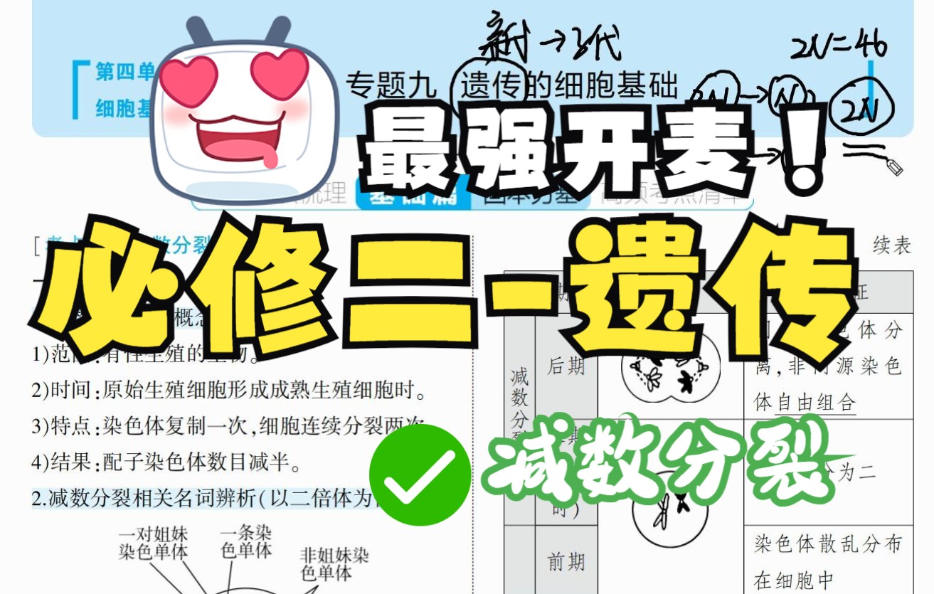 朴素的公开课(无广告)-高中生物必修二-减数分裂
