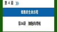 高一生物必修一第六章细胞的增殖1