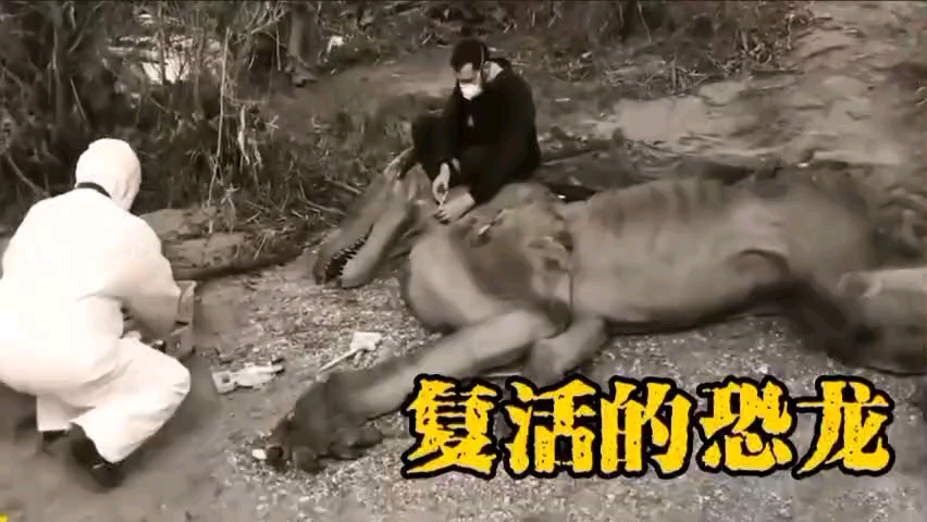 我在暗网最黑暗的角落找到的最可怕的视频