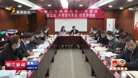 出席市政协五届一次会议的政协委员分组学习讨论浦虹讲话 审议市...
