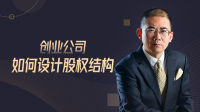创业公司如何设计股权结构 第3集 一人独资企业,如何玩转股权?