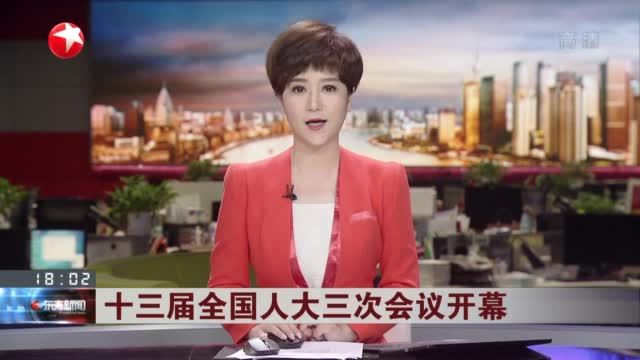十三届全国人大三次会议开幕