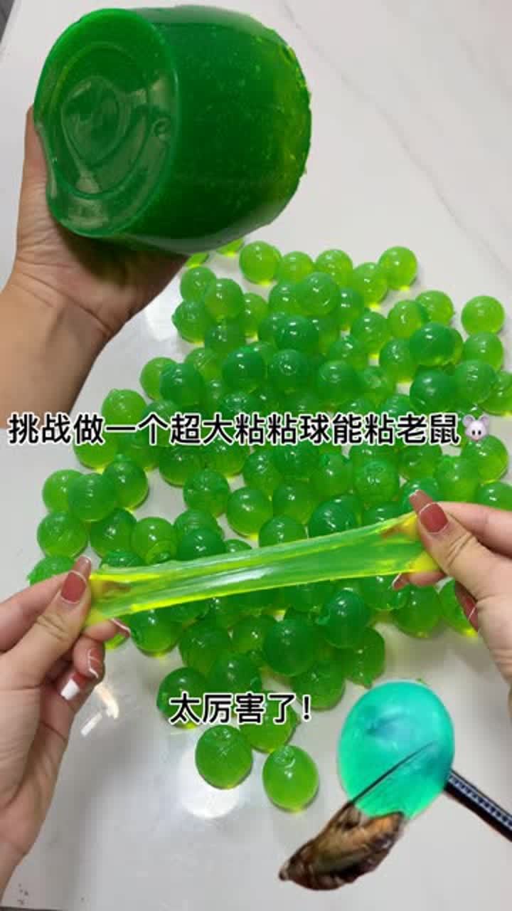 我已经在捉老鼠了!下个视频给你看看能不能沾走老鼠