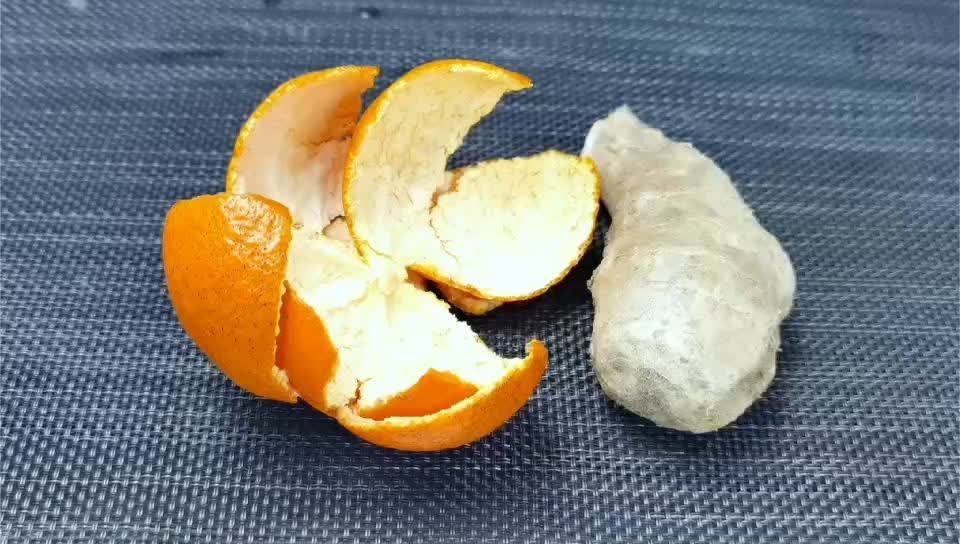 橘皮搭配生姜,没想到作用真厉害,很多人都不知道,省钱又实用