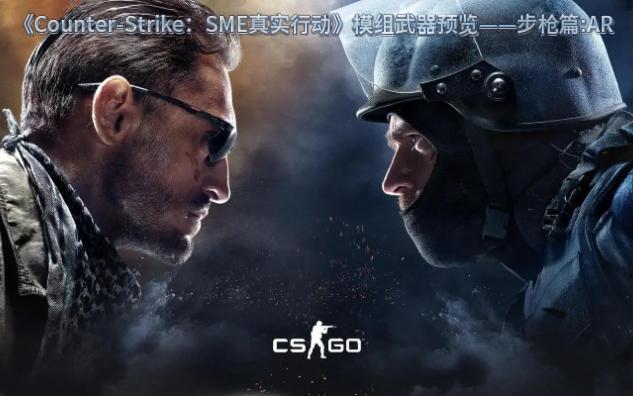 《Counter-Strike:SME真实行动》模组武器预览——步枪篇AR10/AR15...