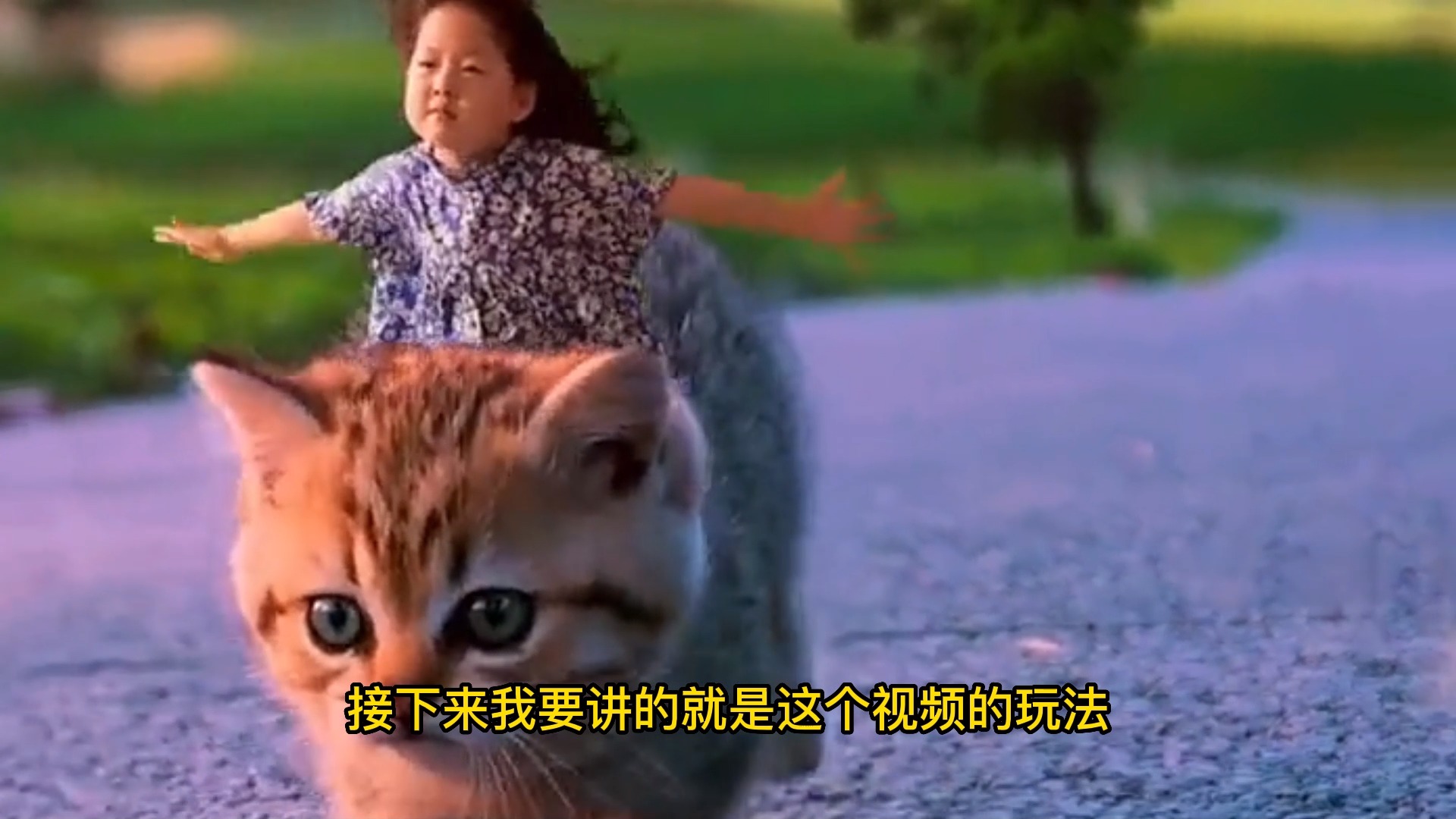 萌娃这种视频怎么做,资料已经准备好了。