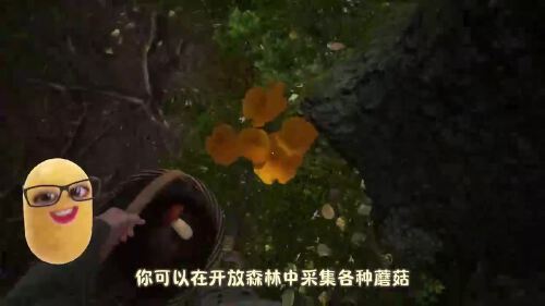 当云南采菇人!Steam《蘑菇猎人模拟器》带你沉浸式体验山野寻宝之旅!
