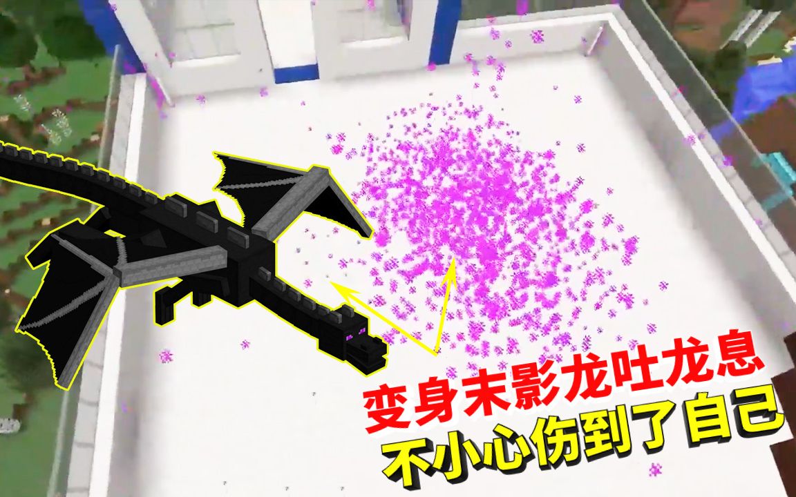 我的世界变形92:变身末影龙无限吐龙息,测试能否收取自己的龙息