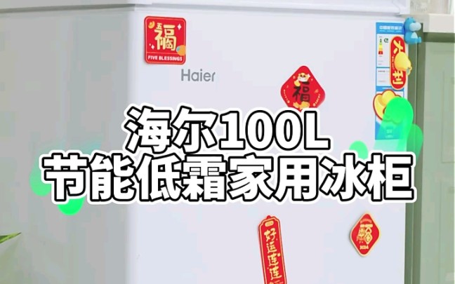海尔(Haier)100升低霜小冰柜家用商用 冷藏柜冷冻柜两用冰柜小型租房...