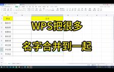 WPS把很多名字合并到一起-03