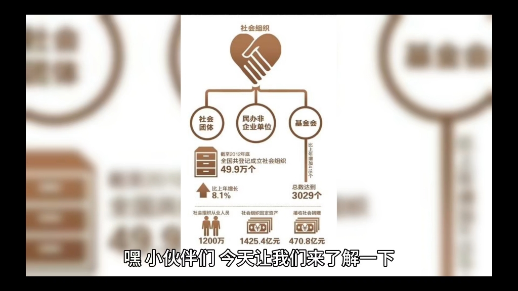 社会组织管理 什么是社会组织?